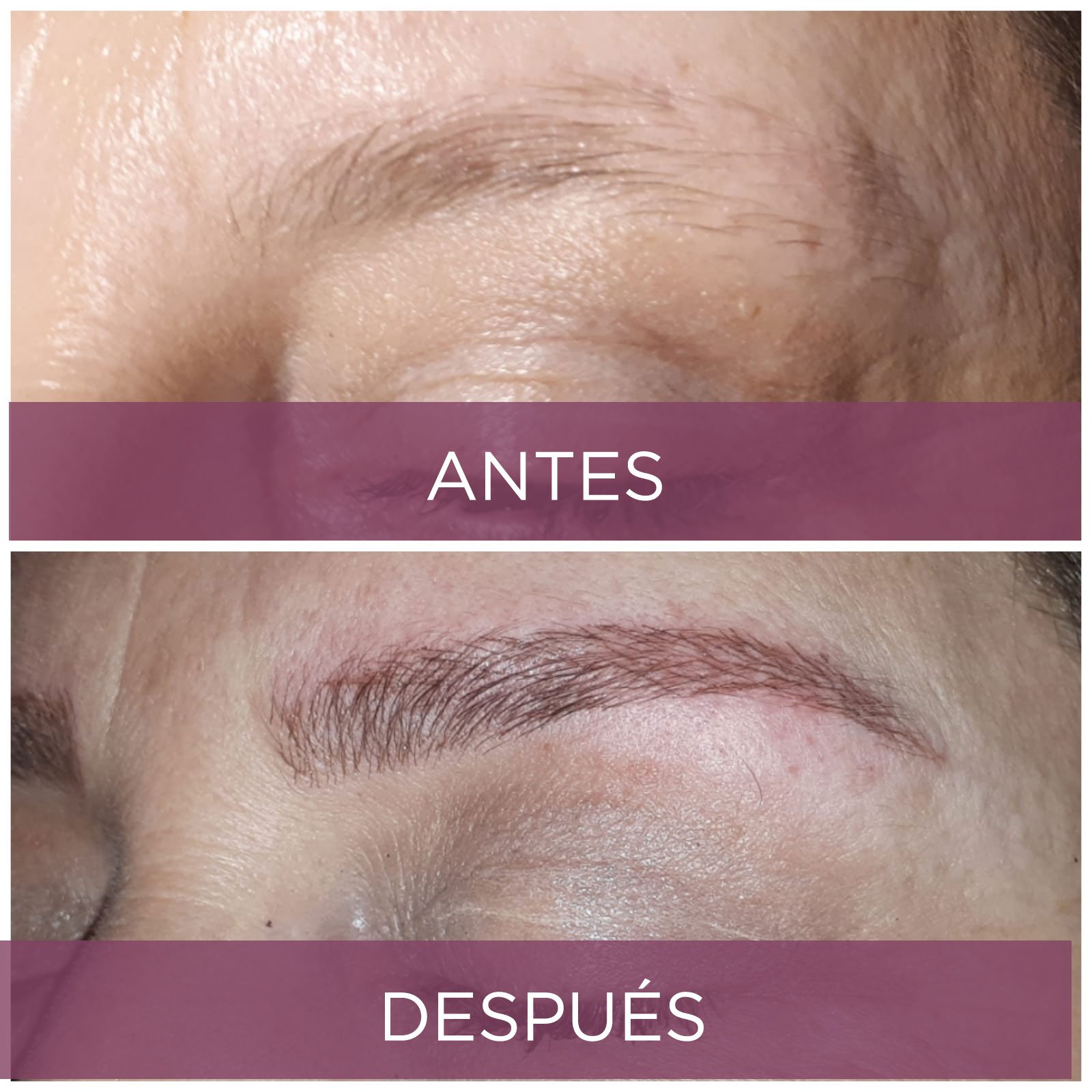 Cejas: Microblading, shading, diseño y tinte de cejas