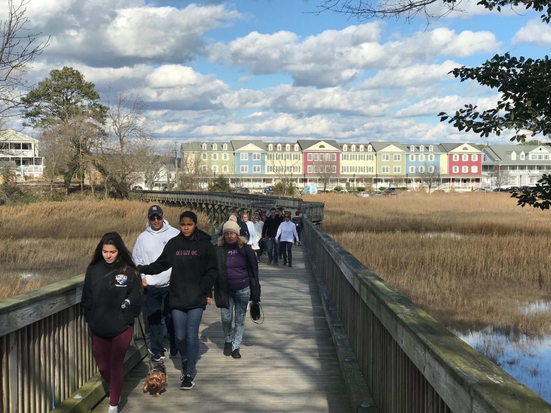 Walk Virginia: Walking for fitness, fun and fellowship