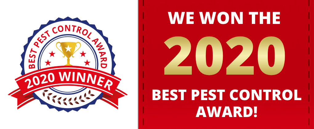 Pest Control Springfield MO | Exterminator Springfield MO | The Bug Guy