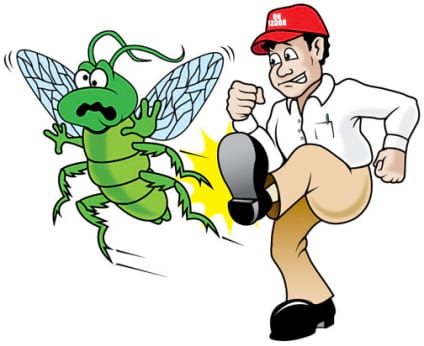 Pest Control Springfield MO | Exterminator Springfield MO | The Bug Guy