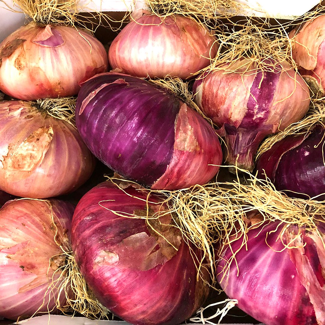Italienisches Obst & Gemüse - San Marzano Tomaten, Almalfi Zitronen uvm.