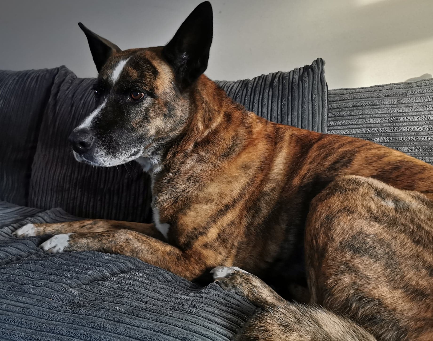 Welcome to Ferry View|Campsite on the NC500|Eco-friendly