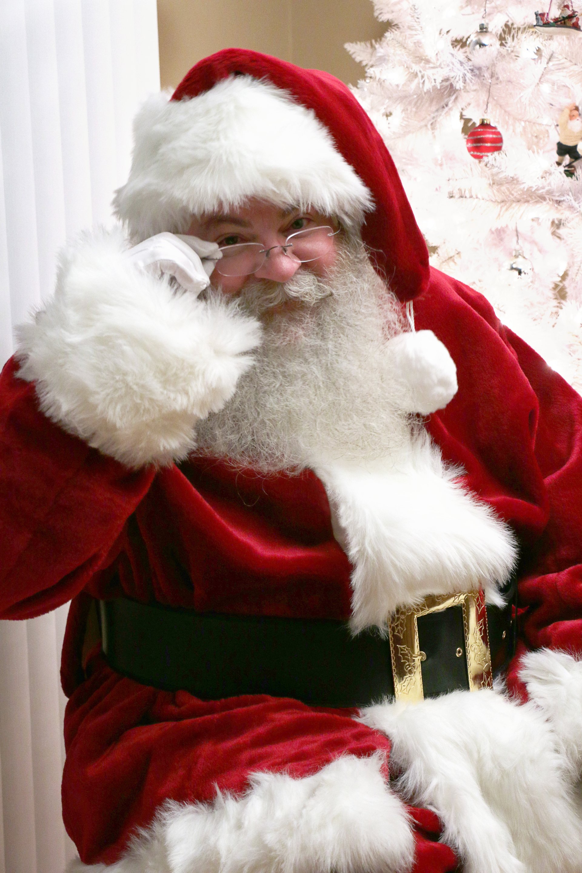 Hiring a Santa for a promotional, corporate or family event?