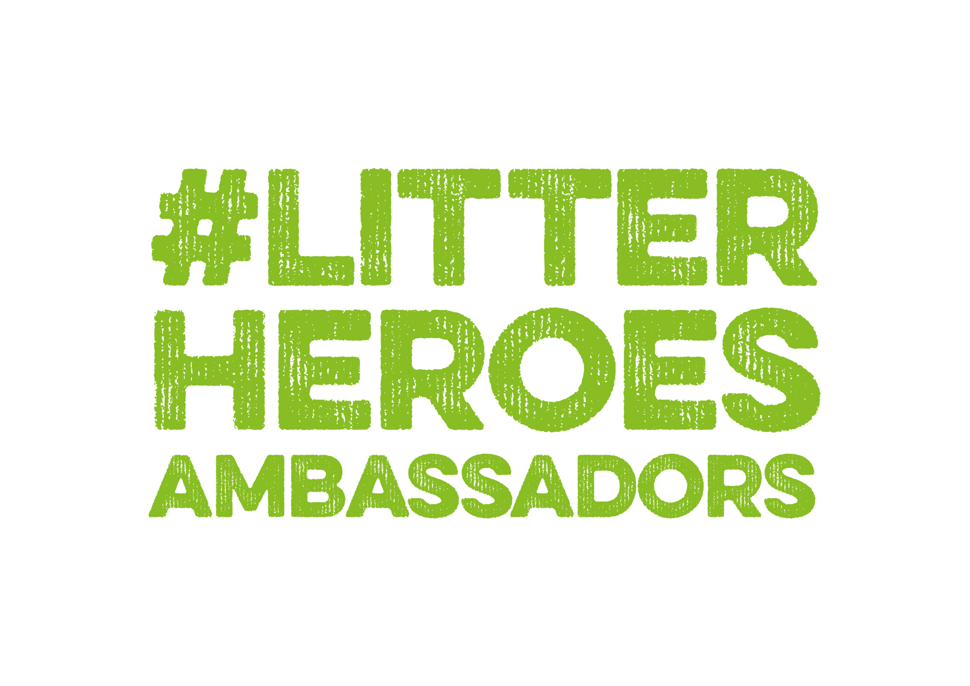 Wychavon council, litter education, litter pick activity