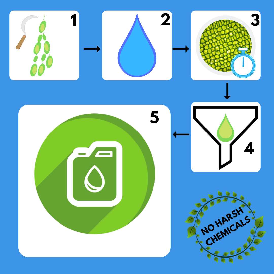 We manufacture seaweed biostimulants for the use in horticultural and ...