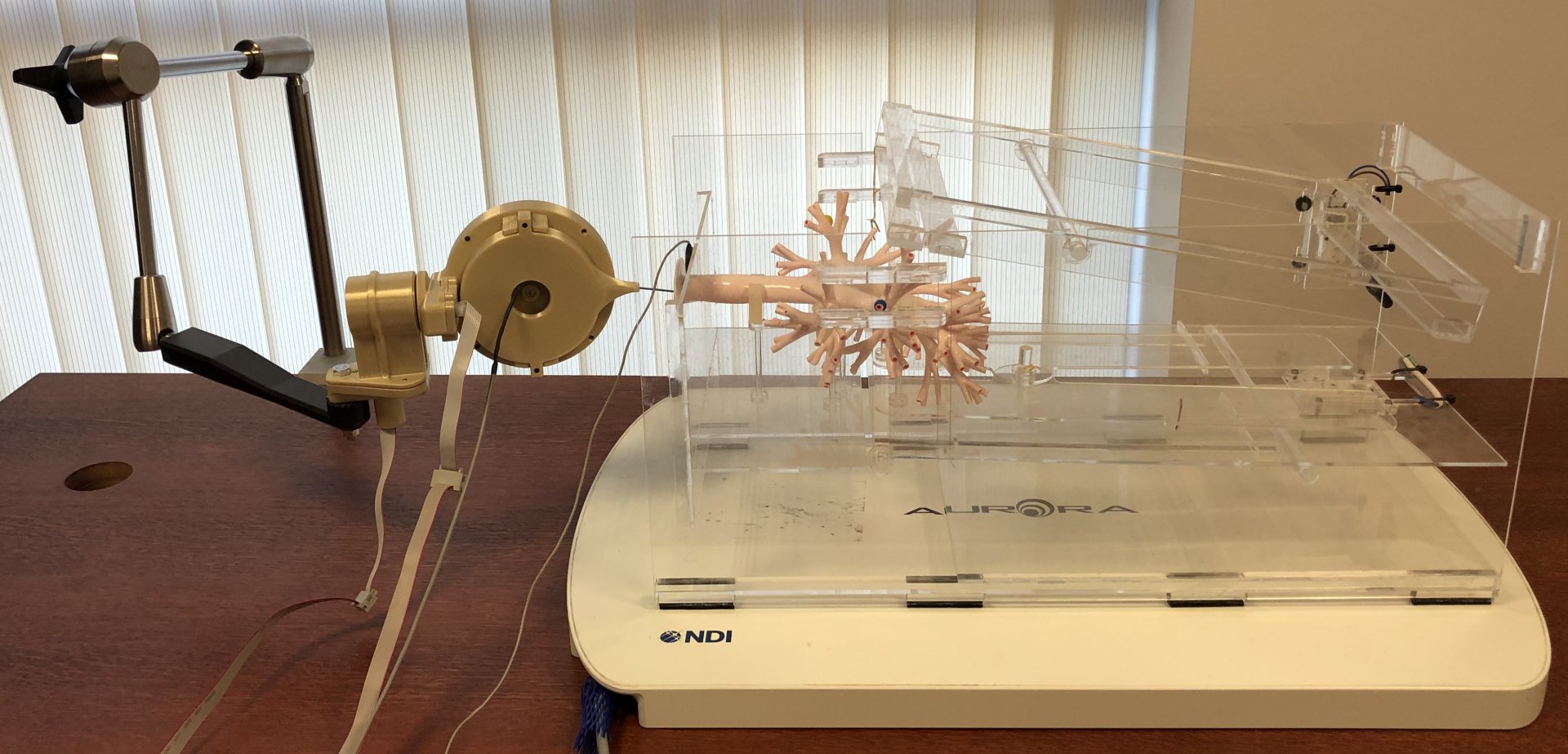 EndoRoTM Endo-navigation Robotic Arm