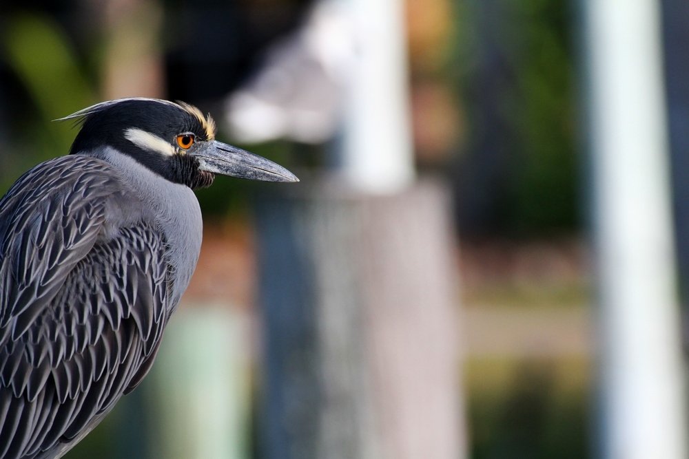 From Port To Port Gulf Coast photography by WesT Austin