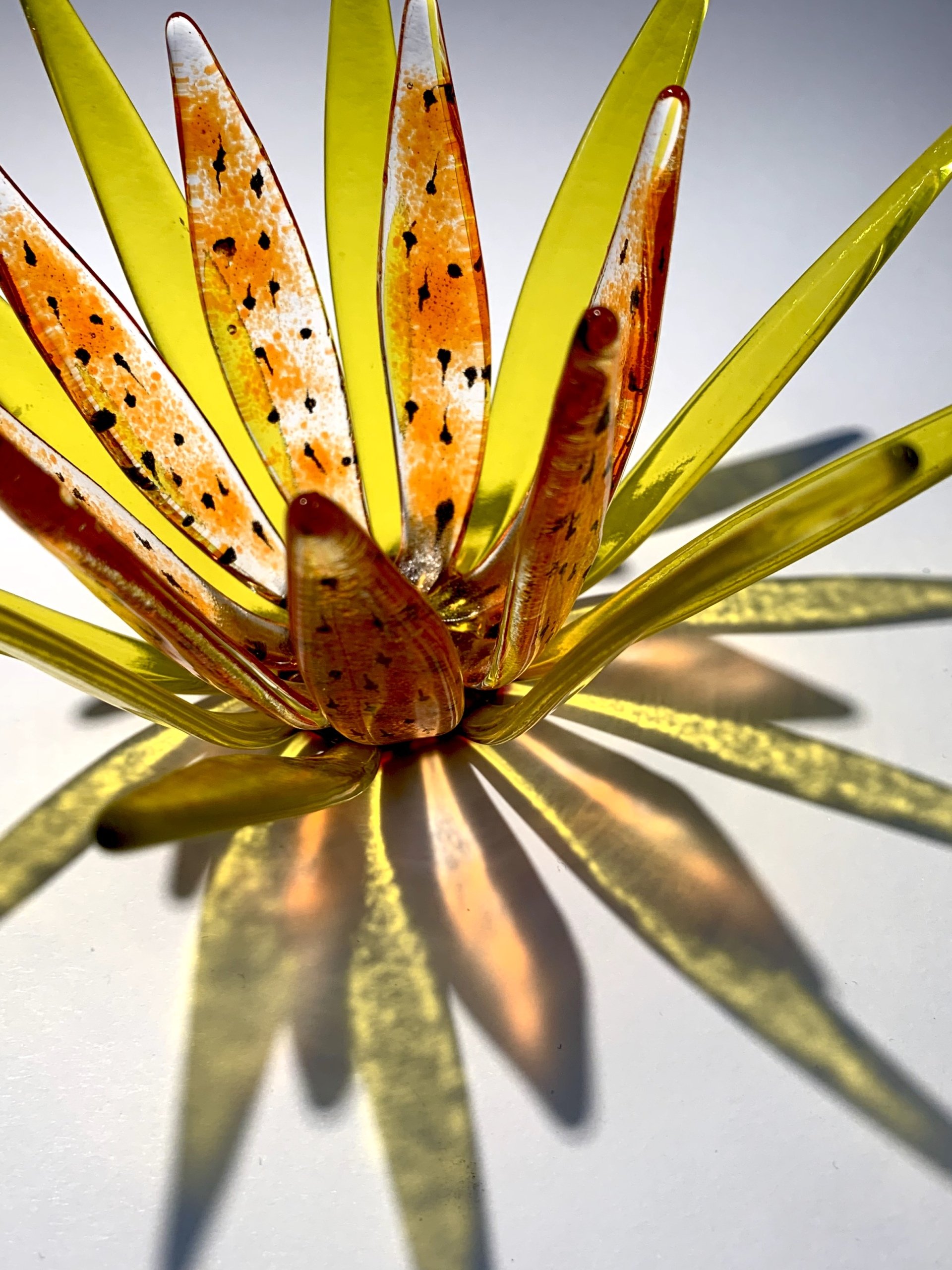 north wales creative glass studios