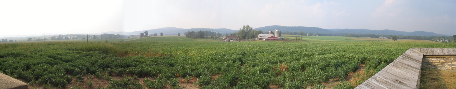 Hoch High Family Association