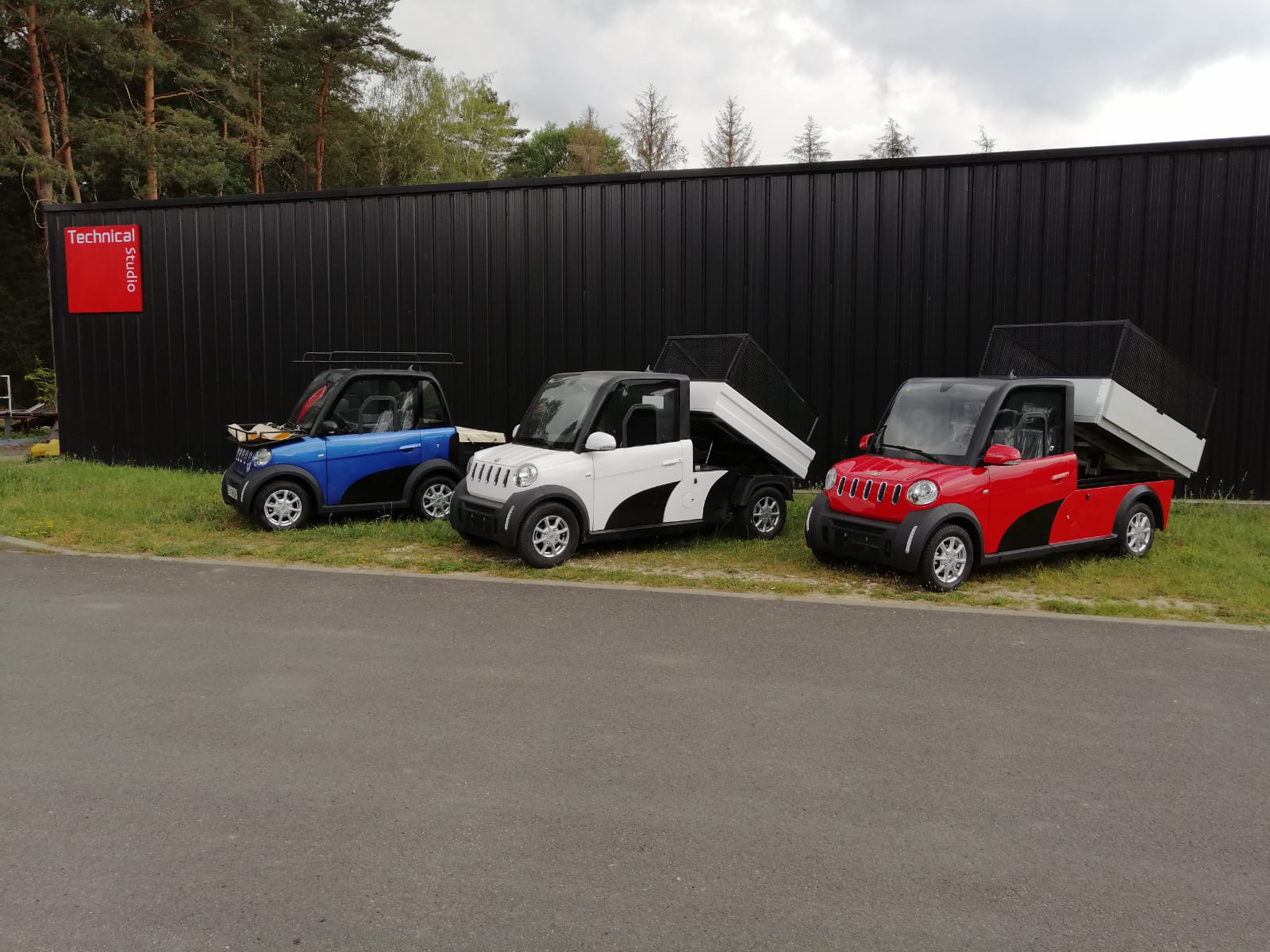 mini utilitaires electriques
