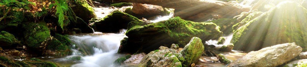 Precision Tile Pro tile layout and design software