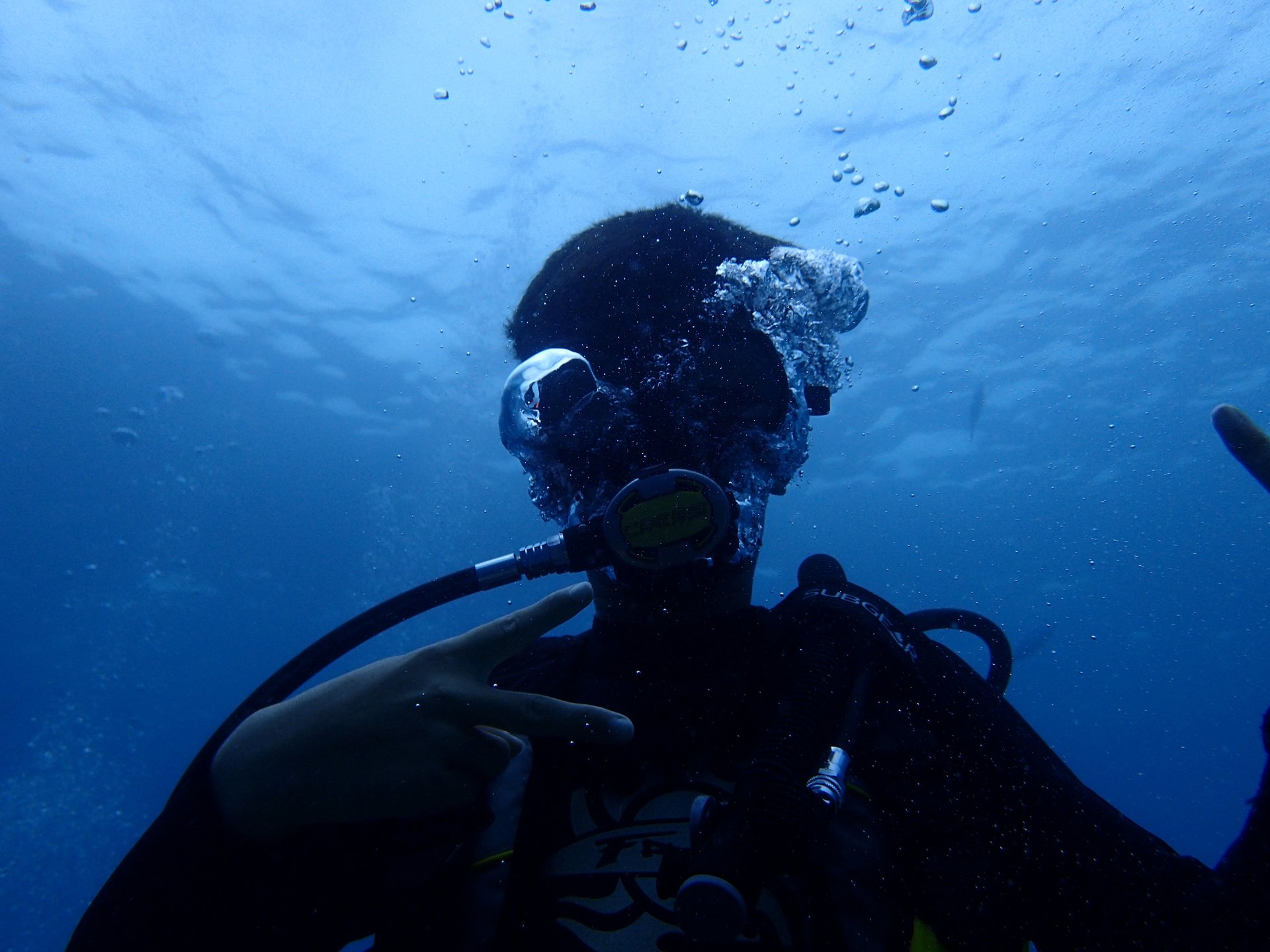 Die Familie Eichler: Christoph Eichler, Caroline Paredes-Eichler ...