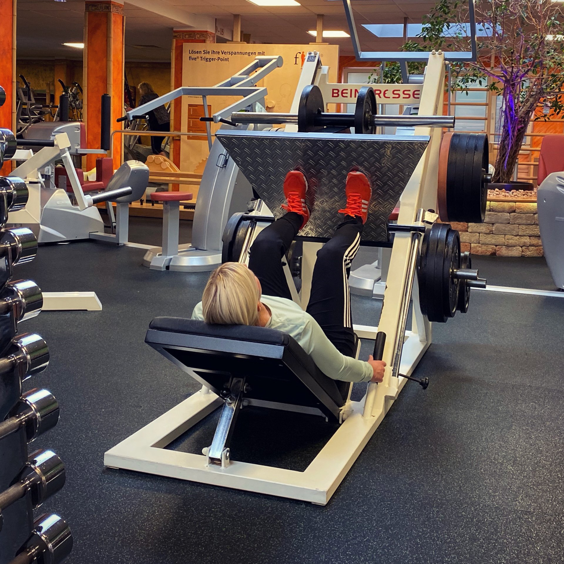 Rückenfitness und Sportstudio Pro Body Korbach