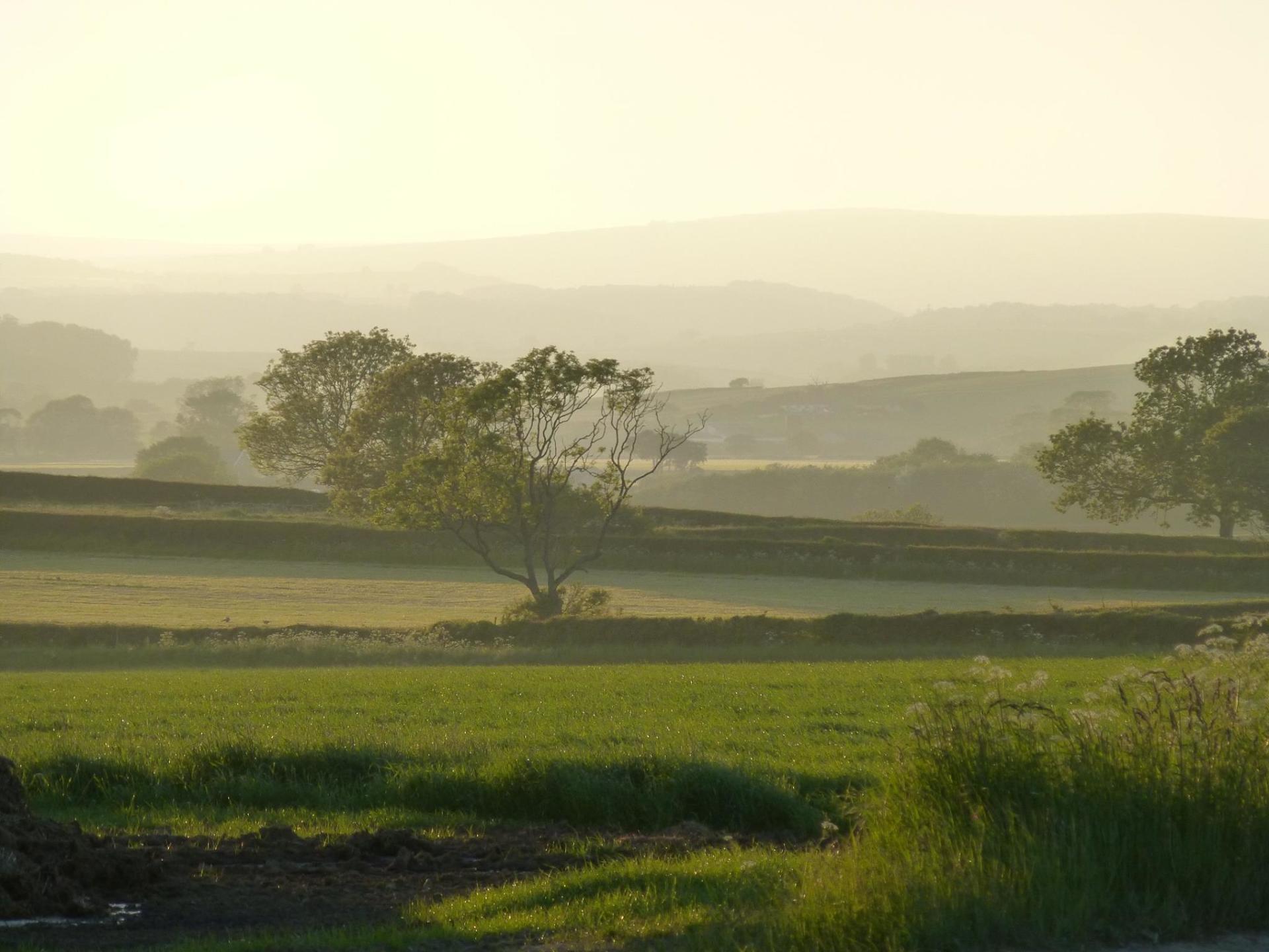 Ryedale-community-advice-links