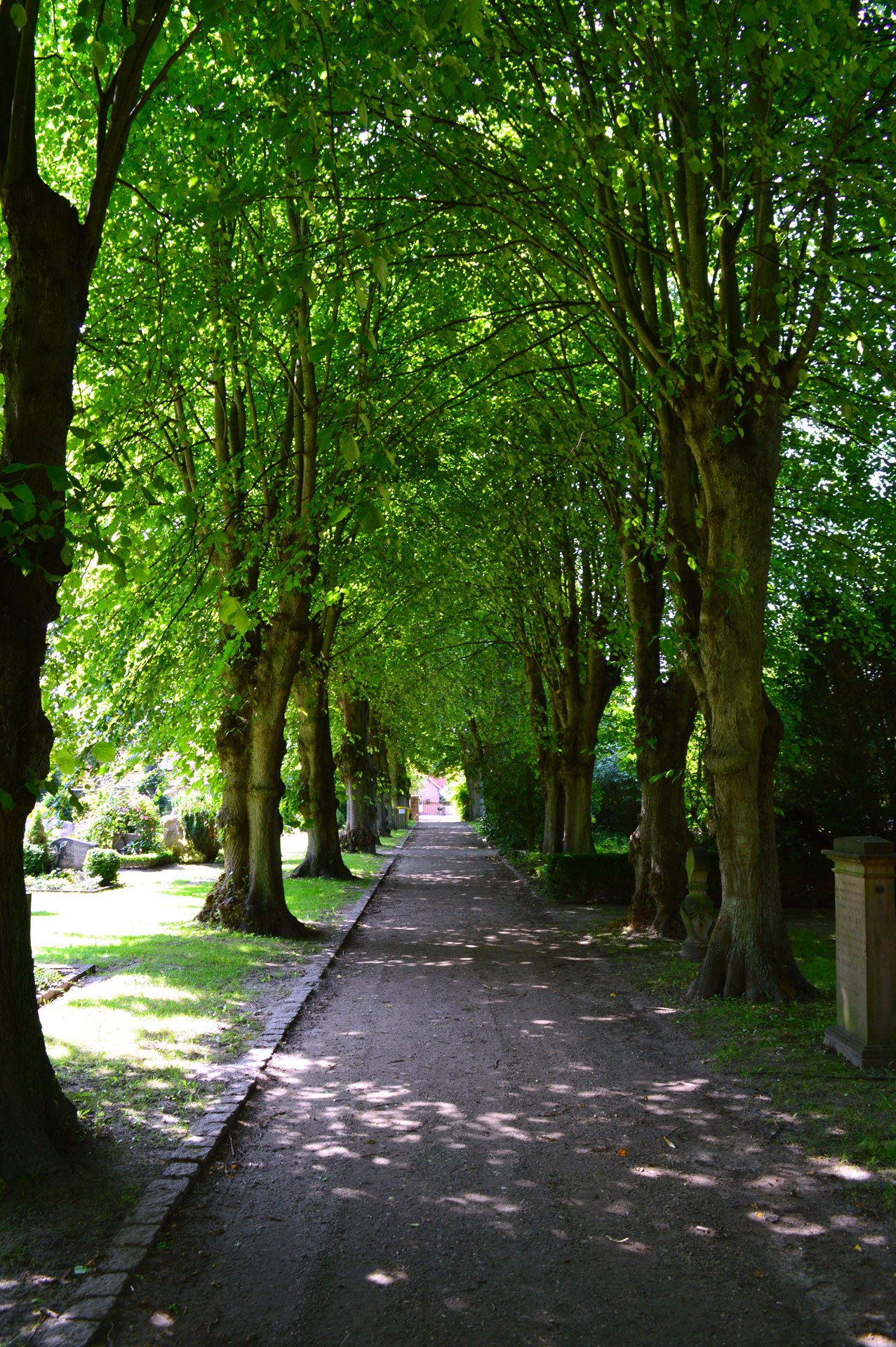 Über unsere Stadt | Unsere Stadt | Stadt Garding