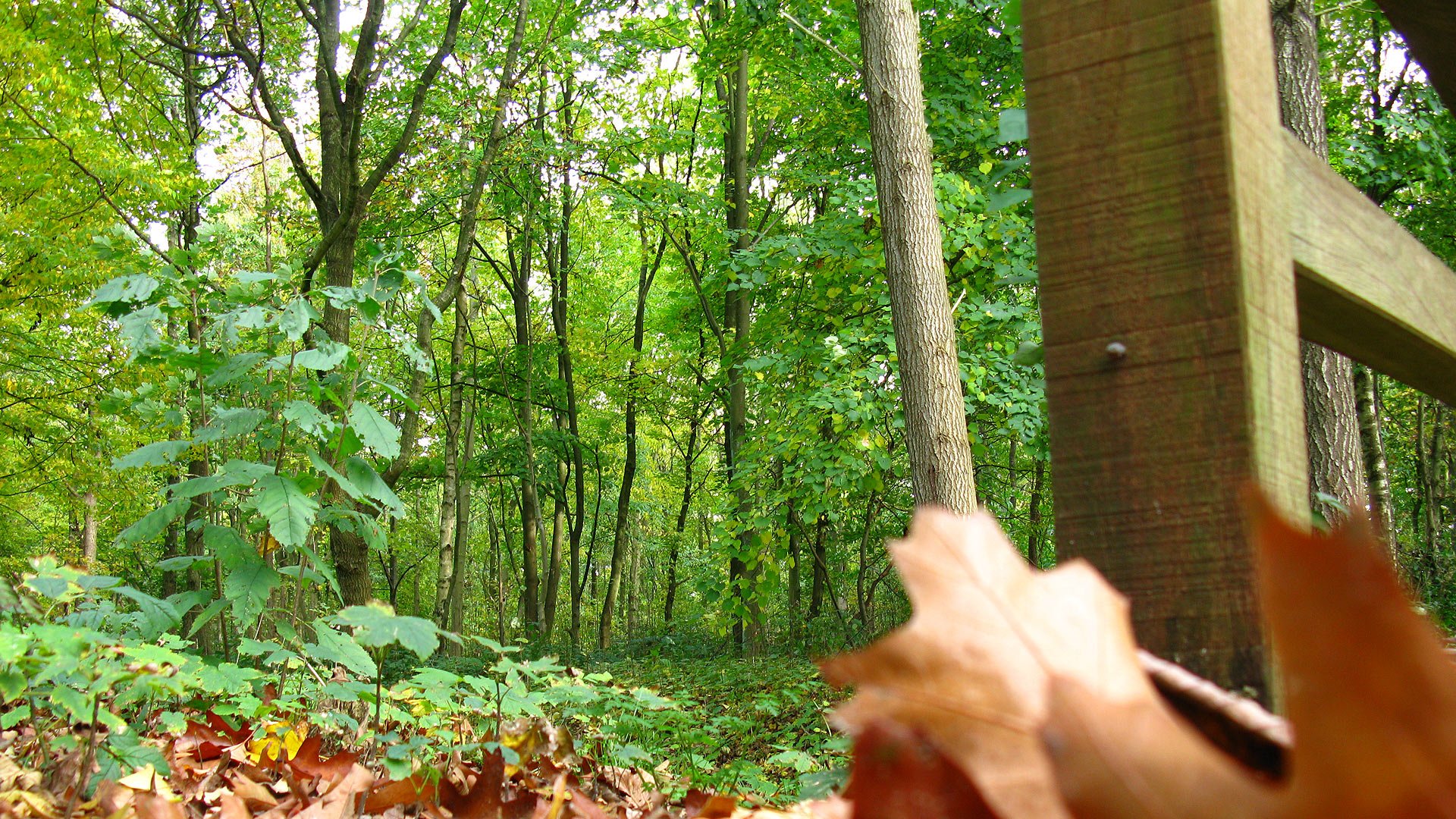 Tourismus Garding | Naturerlebnis Stadtwald