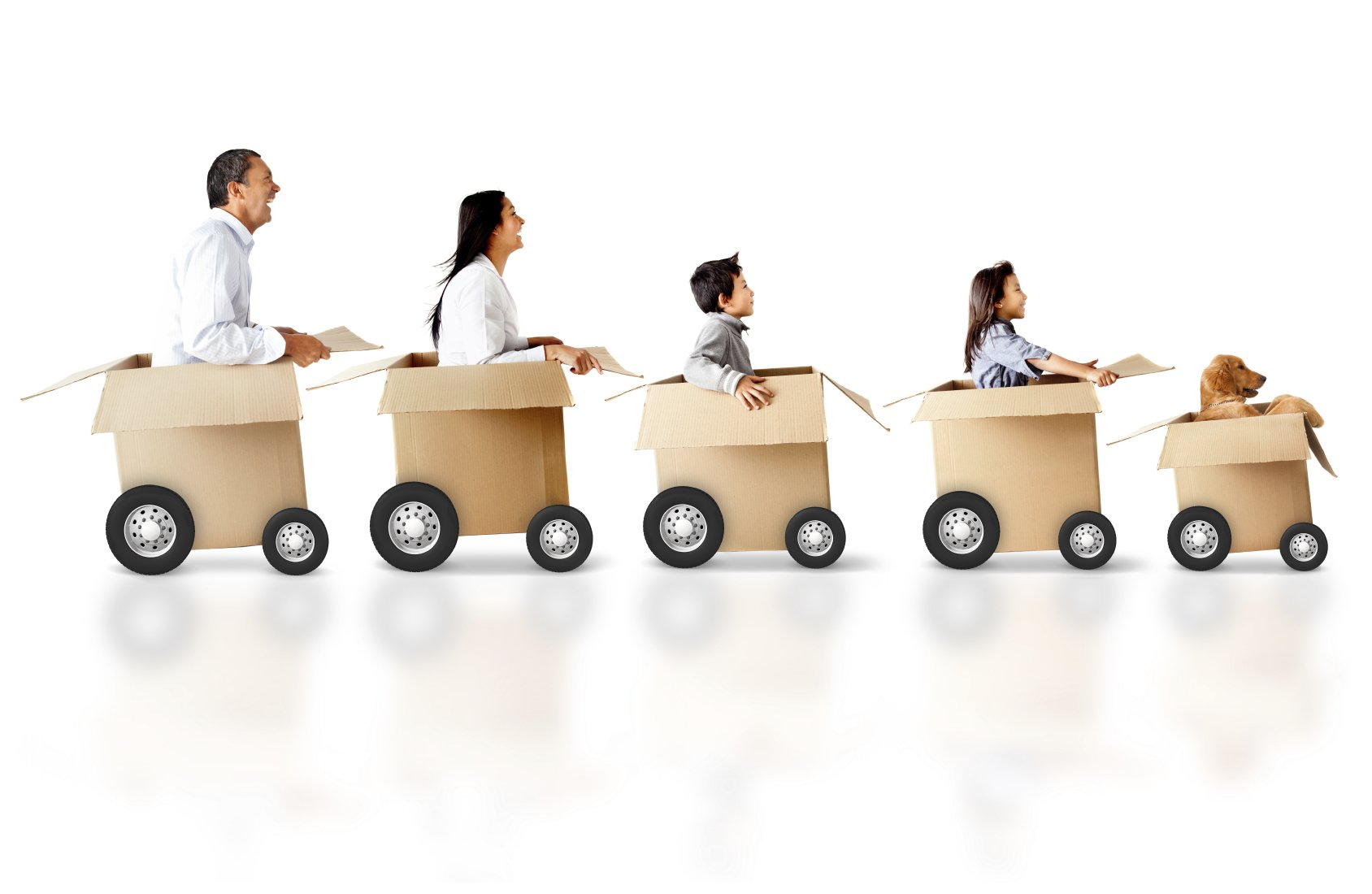 CCAM CPAM Angeborene zystische Lungenfehlbildung Zysten