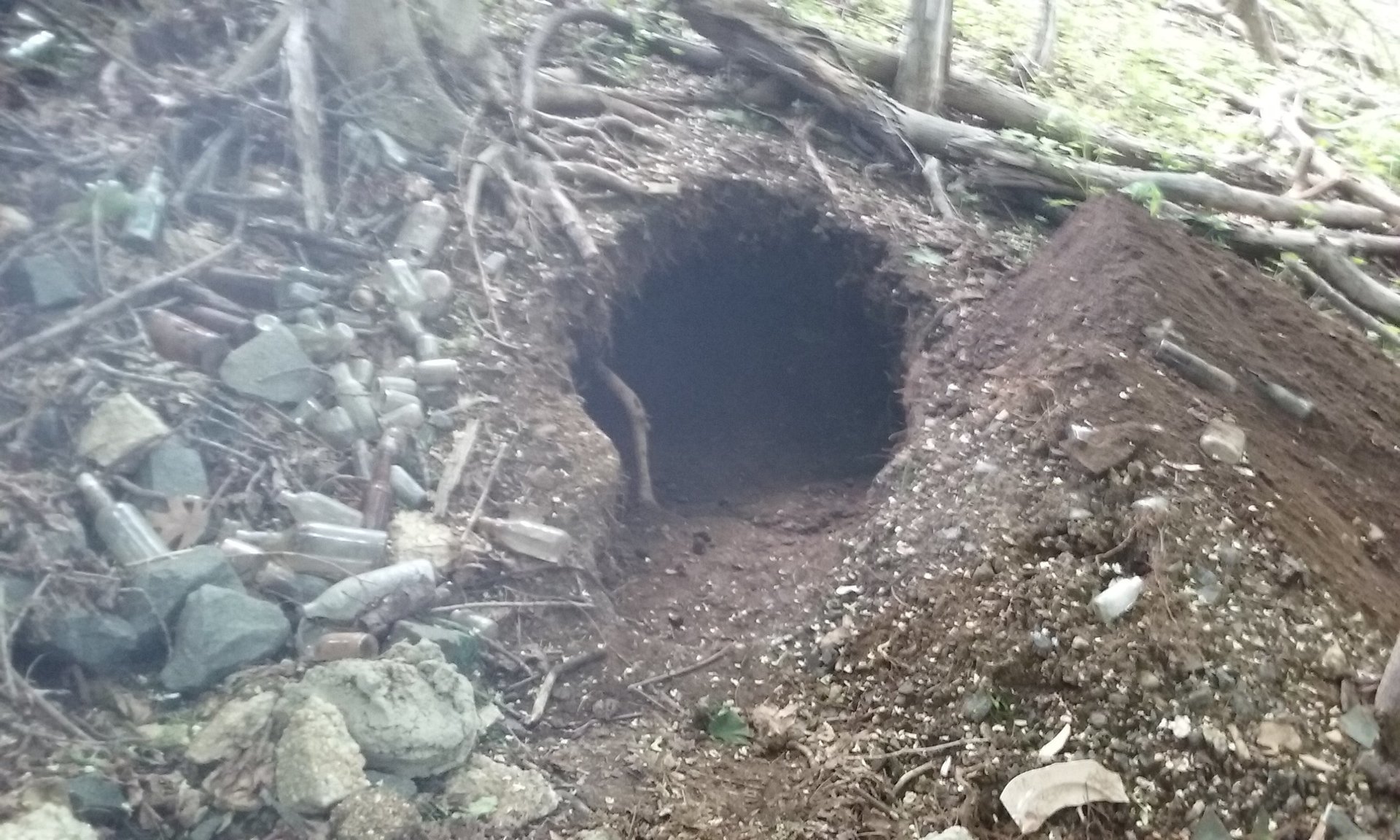 We help metal detectorists find metal detecting buddies and old bottle ...