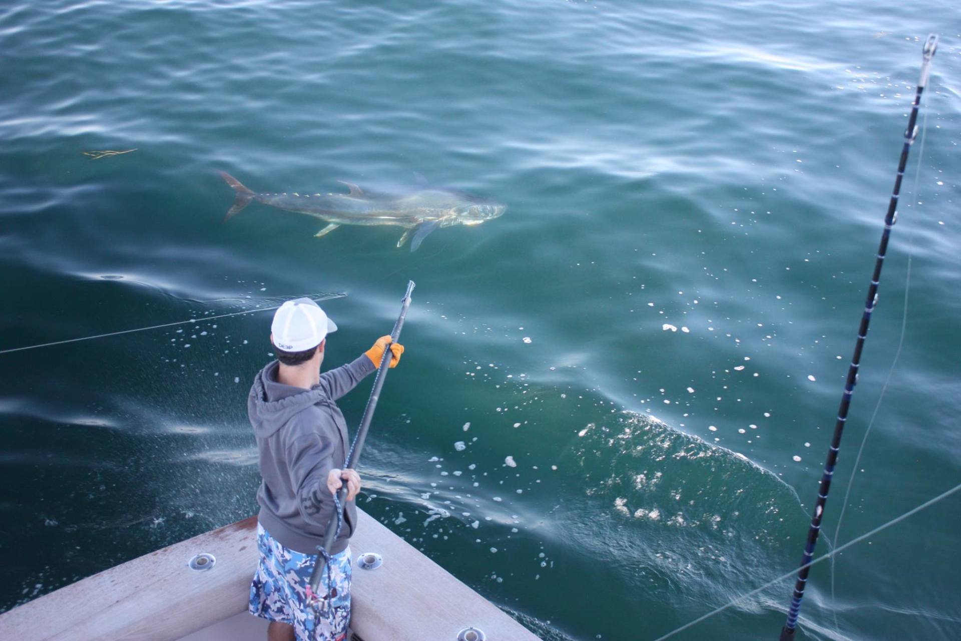 POON HARPOONS The ORIGINAL Multi-Piece Harpoon Made in USA