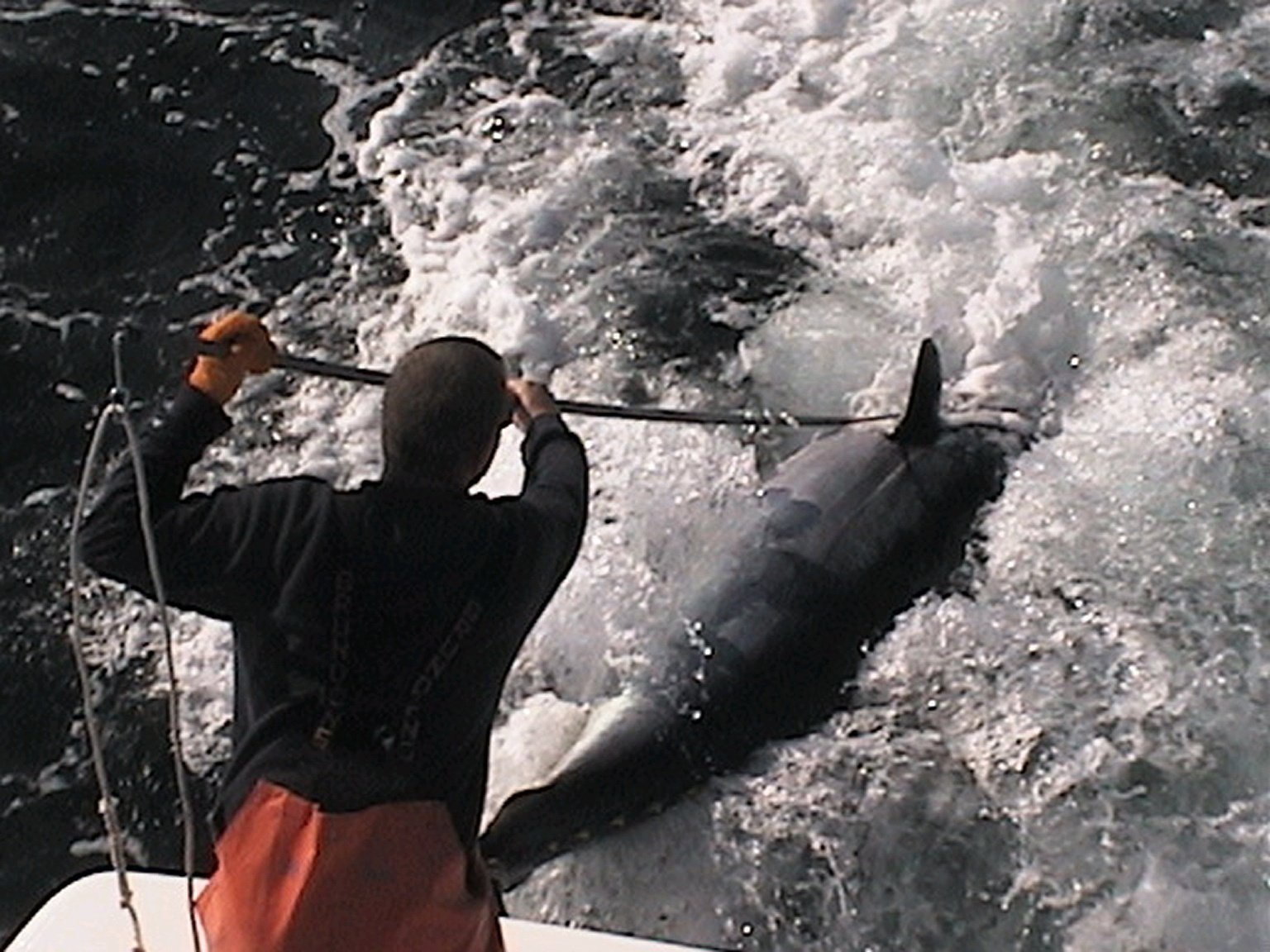 POON HARPOONS The ORIGINAL Multi-Piece Harpoon Made in USA