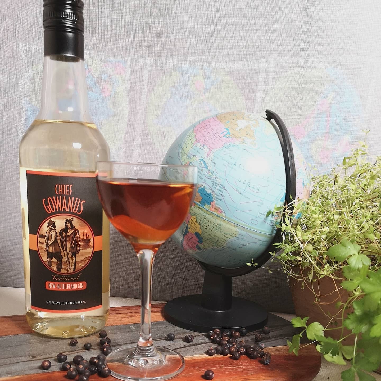 Virtual World Gin Tour - International Gin Brands and Distilleries