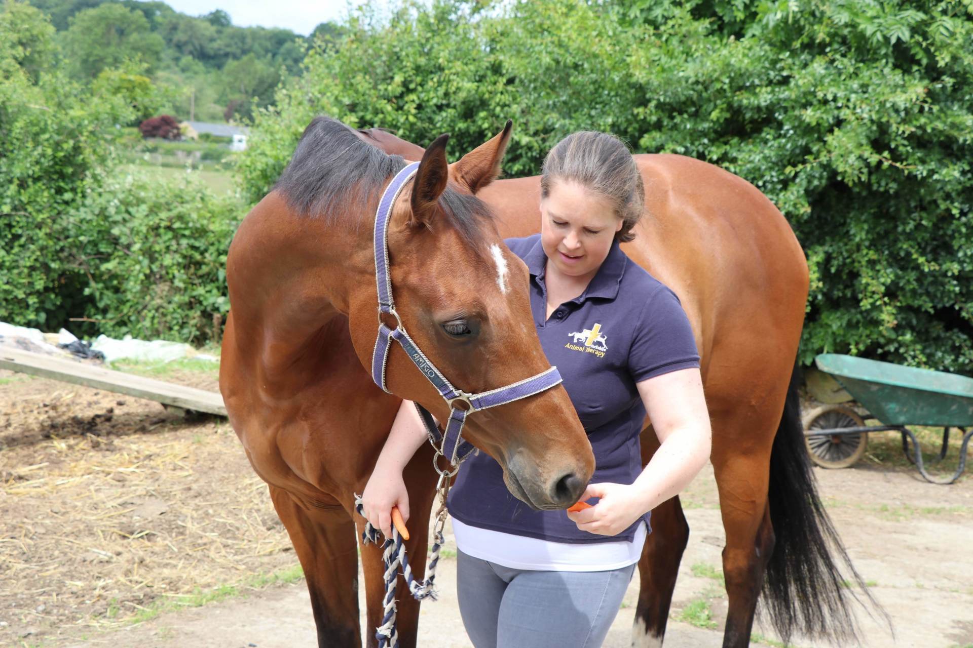 Yorkshire Animal Therapy | Equine and Canine Physiotherapy
