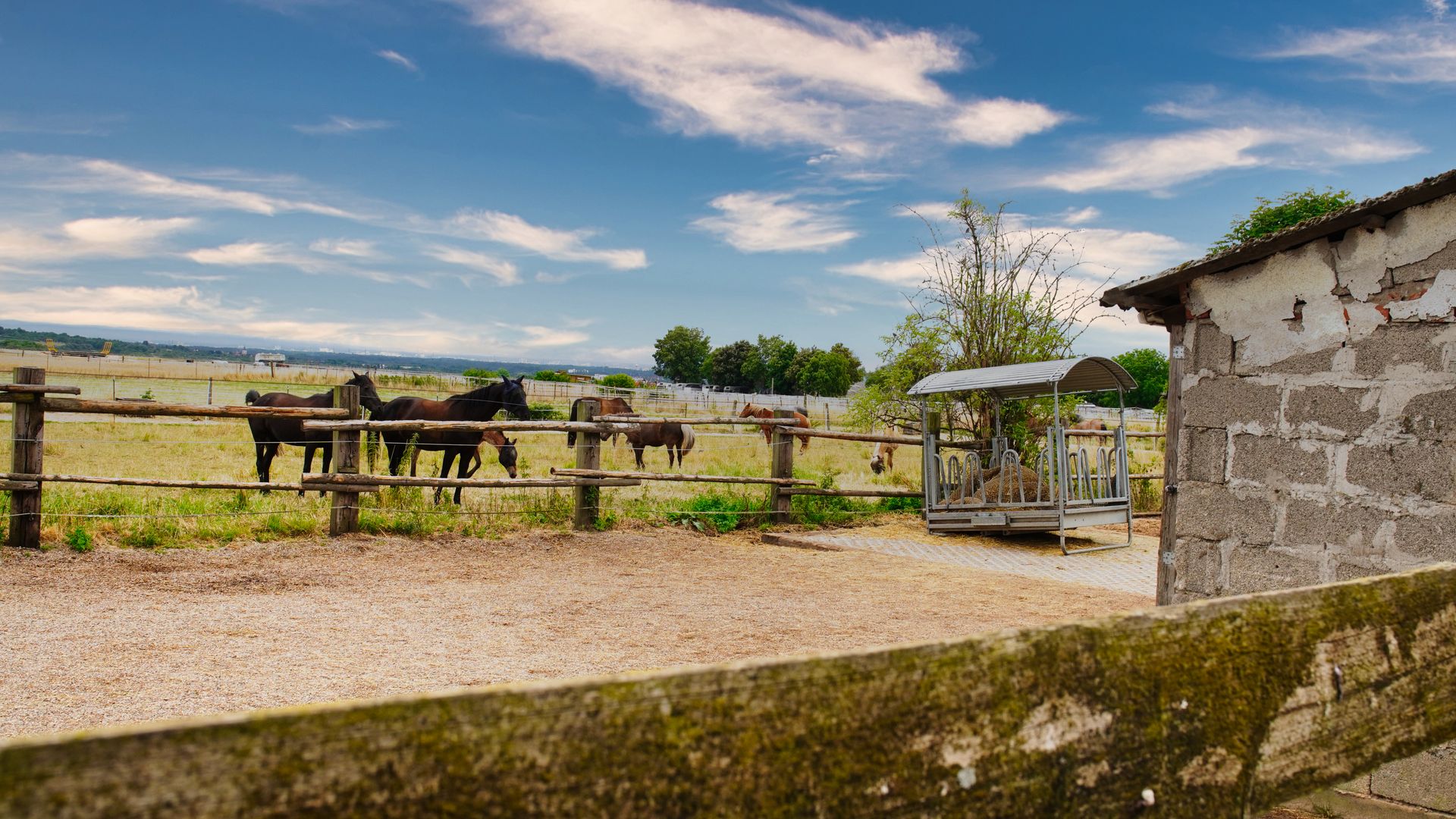 Pferdepensionbetrieb