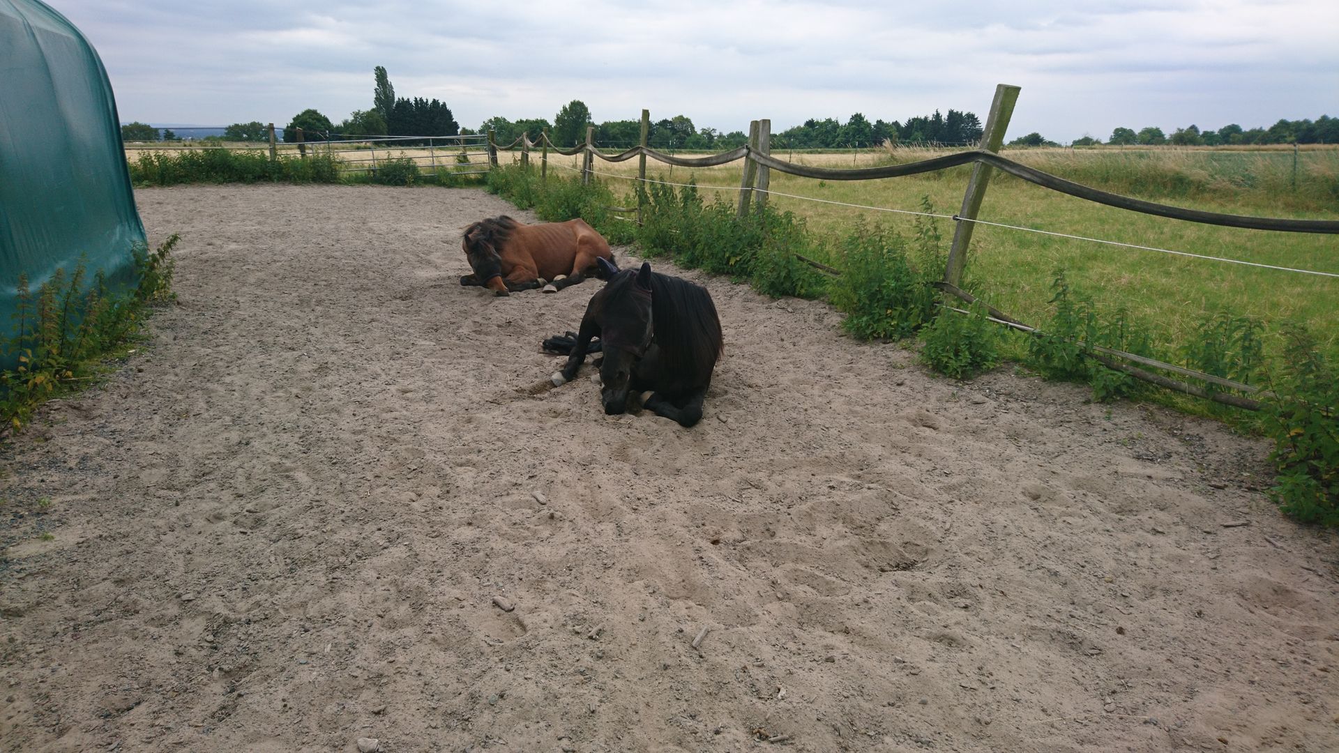 Pferdepensionbetrieb