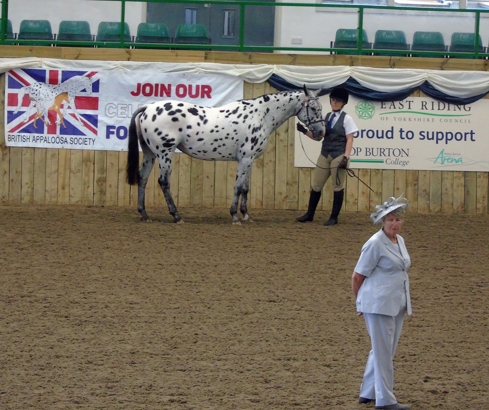 Northern Show Gallery 2019