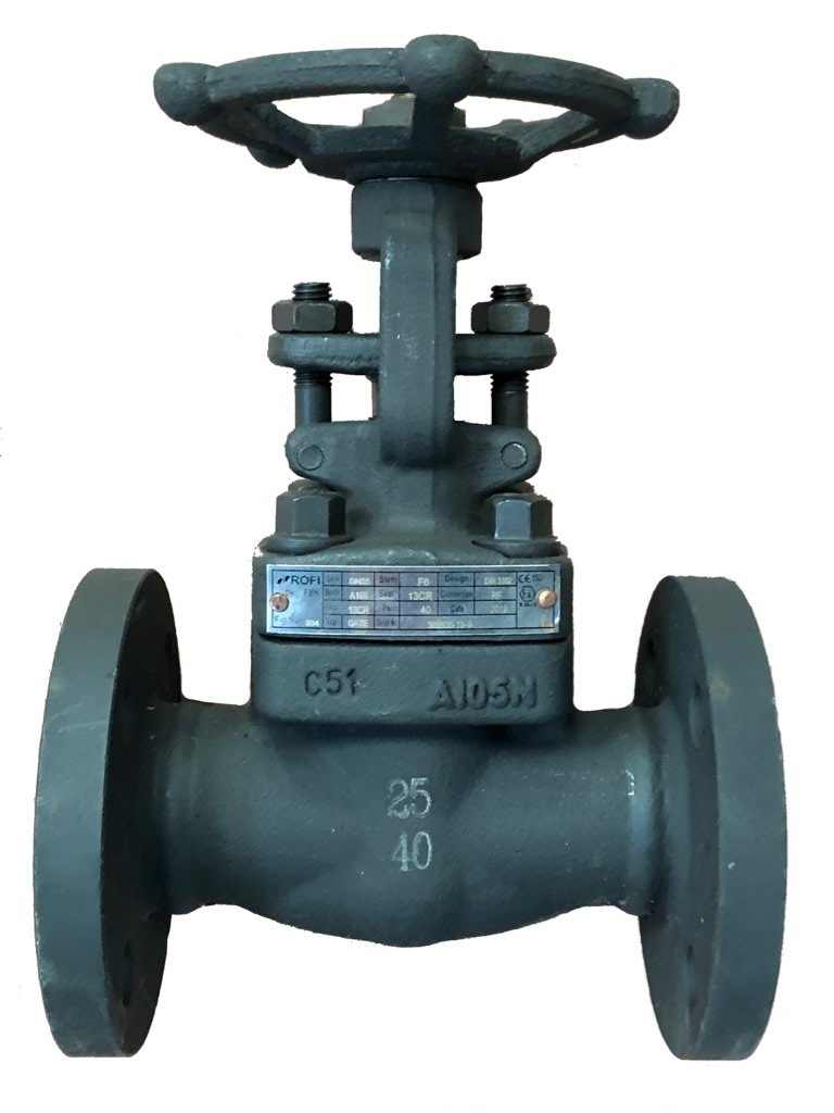 ROFI - Industrial valves - Gate valve