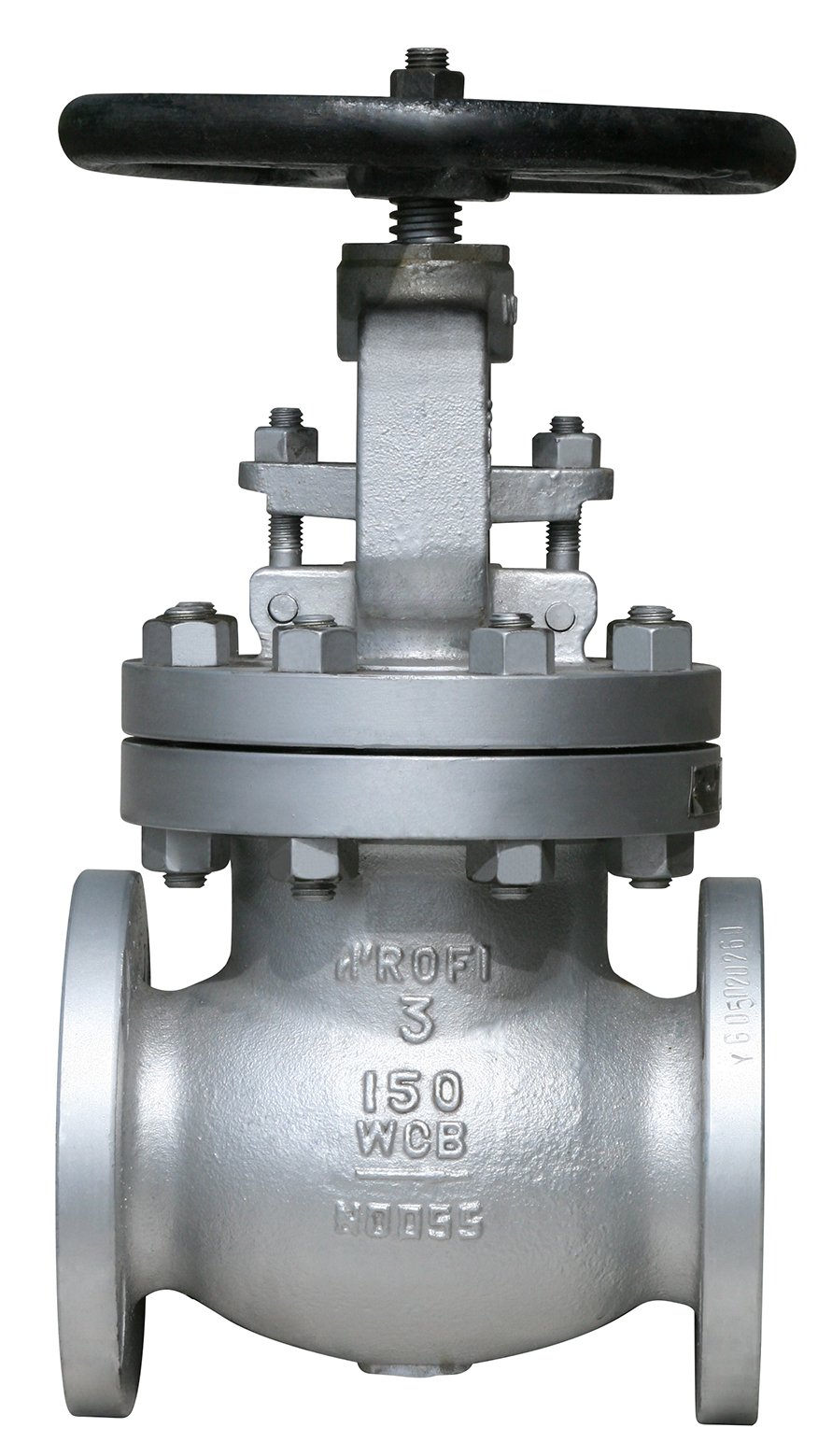 ROFI - Industrial valves - Globe valve