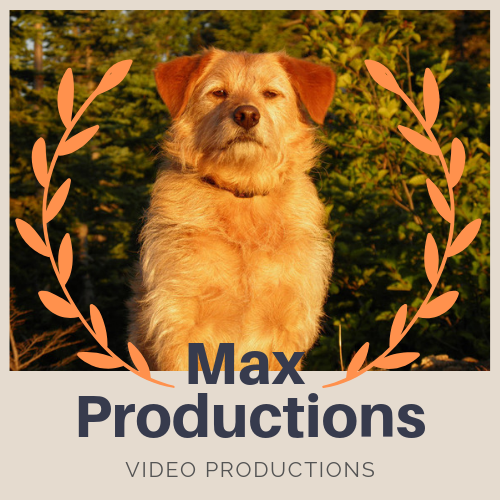 HOME [www.maxproductionstv.com]