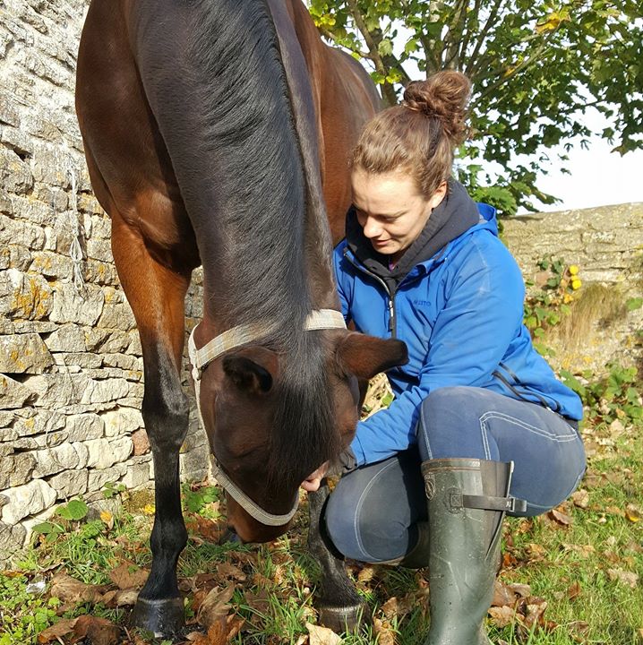Equine Physiotherapy