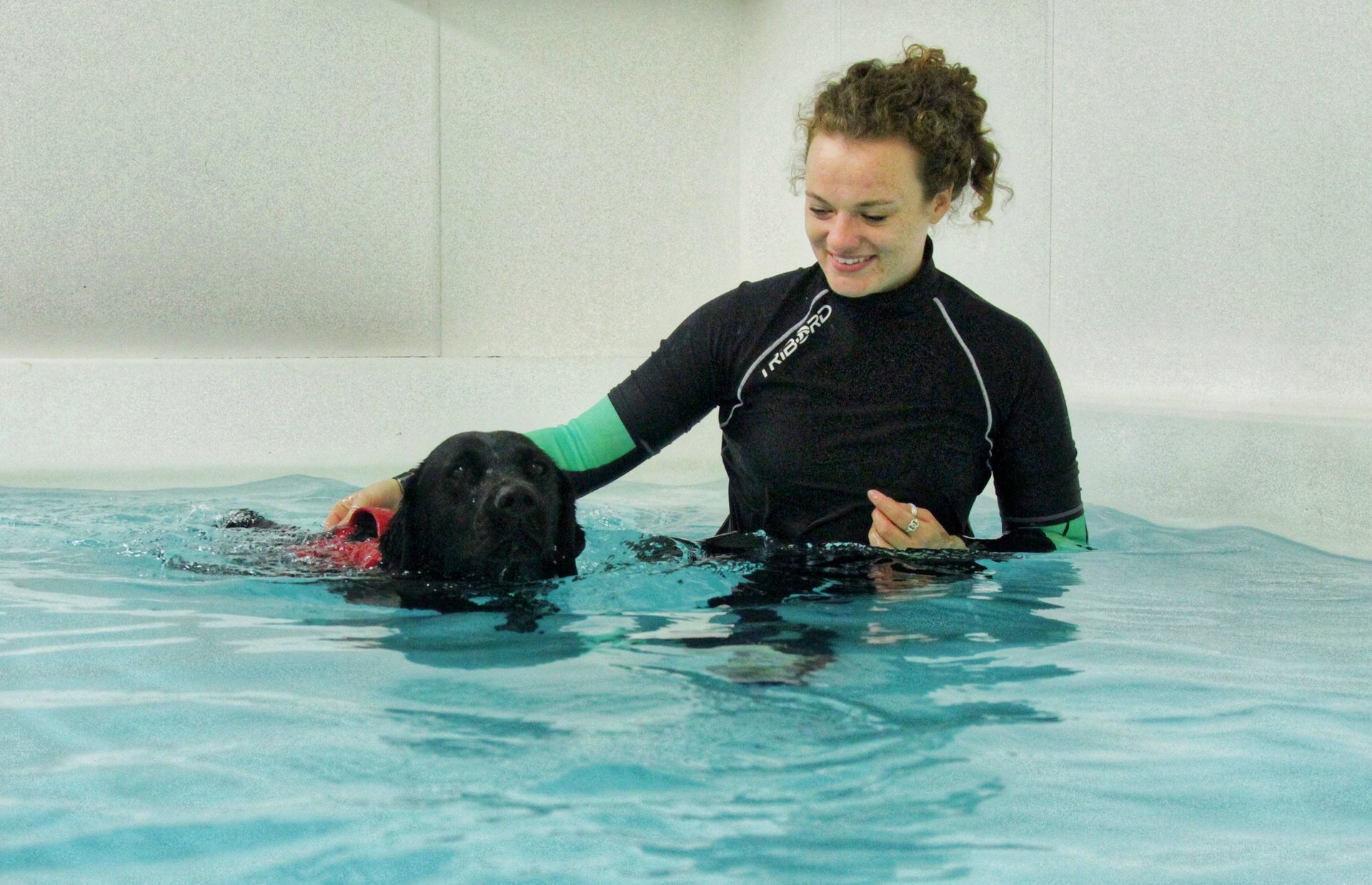 Canine Hydrotherapy