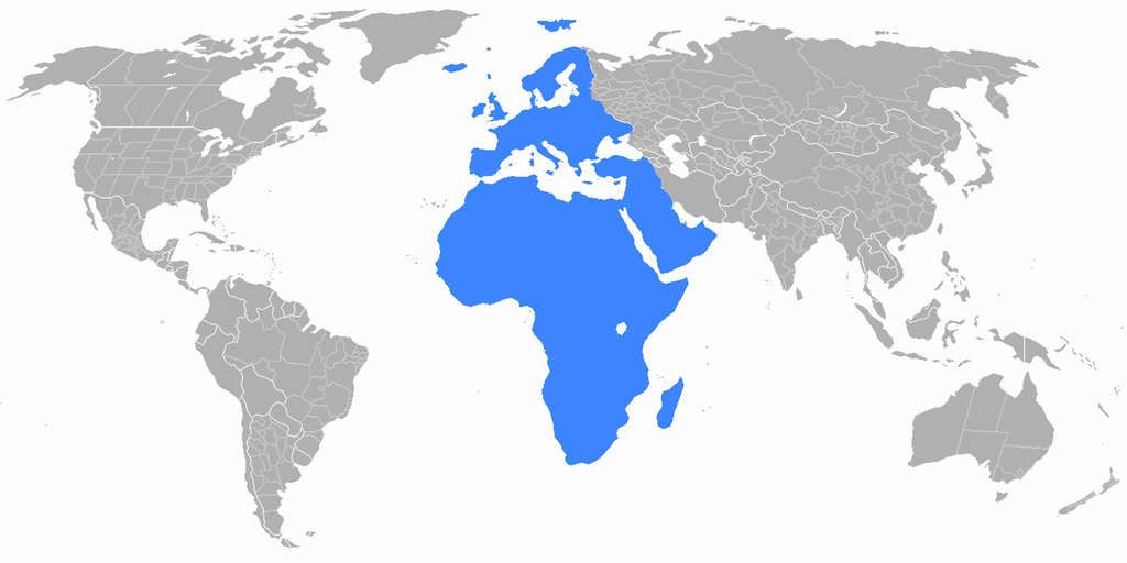 Pearson iGCSE foundation maths papers and mark schemes