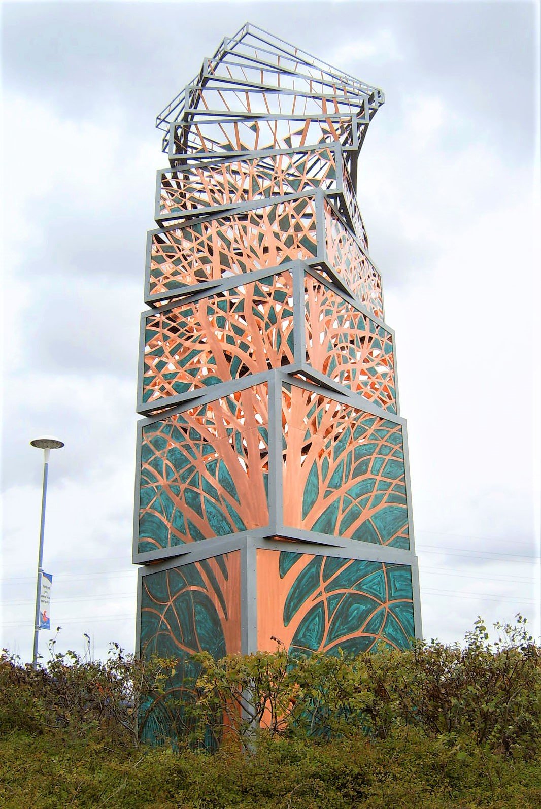 Natural Selection 2006