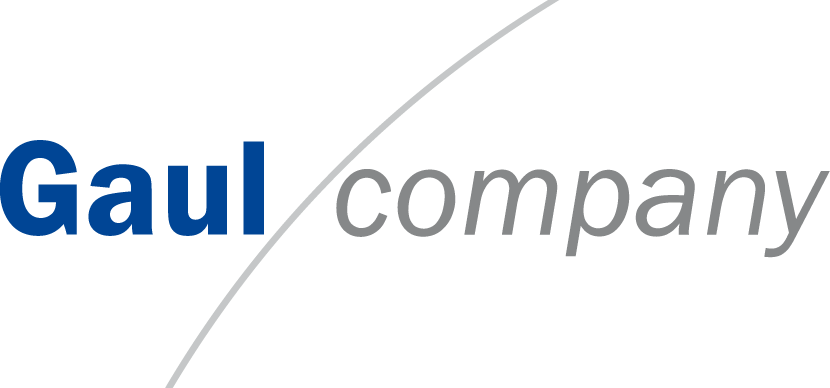 Gaul Company - Beratung für das digitale Zeitalter