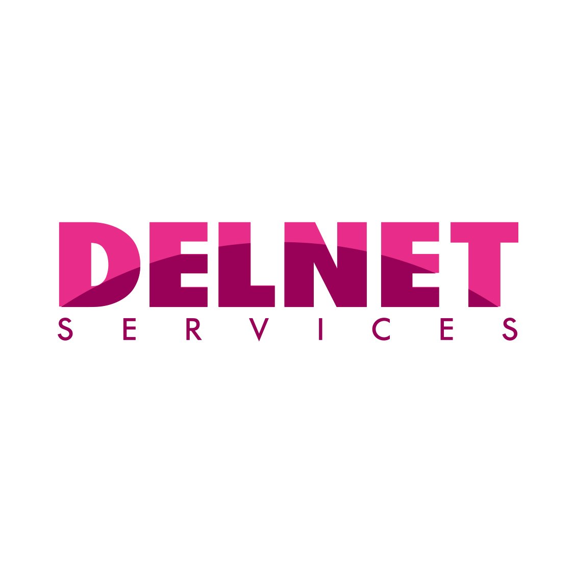 GROUPE DELNET NETTOYAGE SERVICES ET BLANCHISSERIE