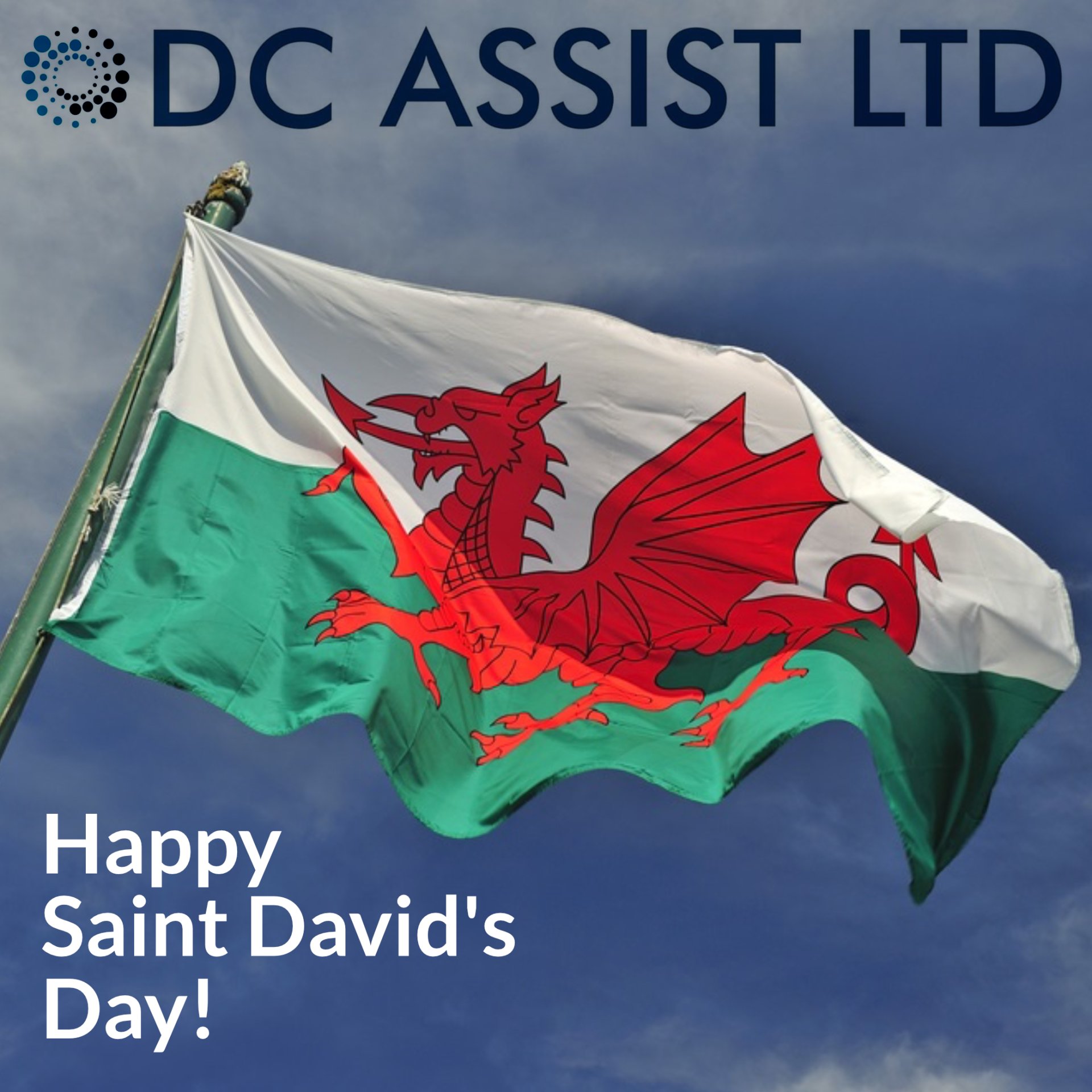 Happy Saint David's Day!