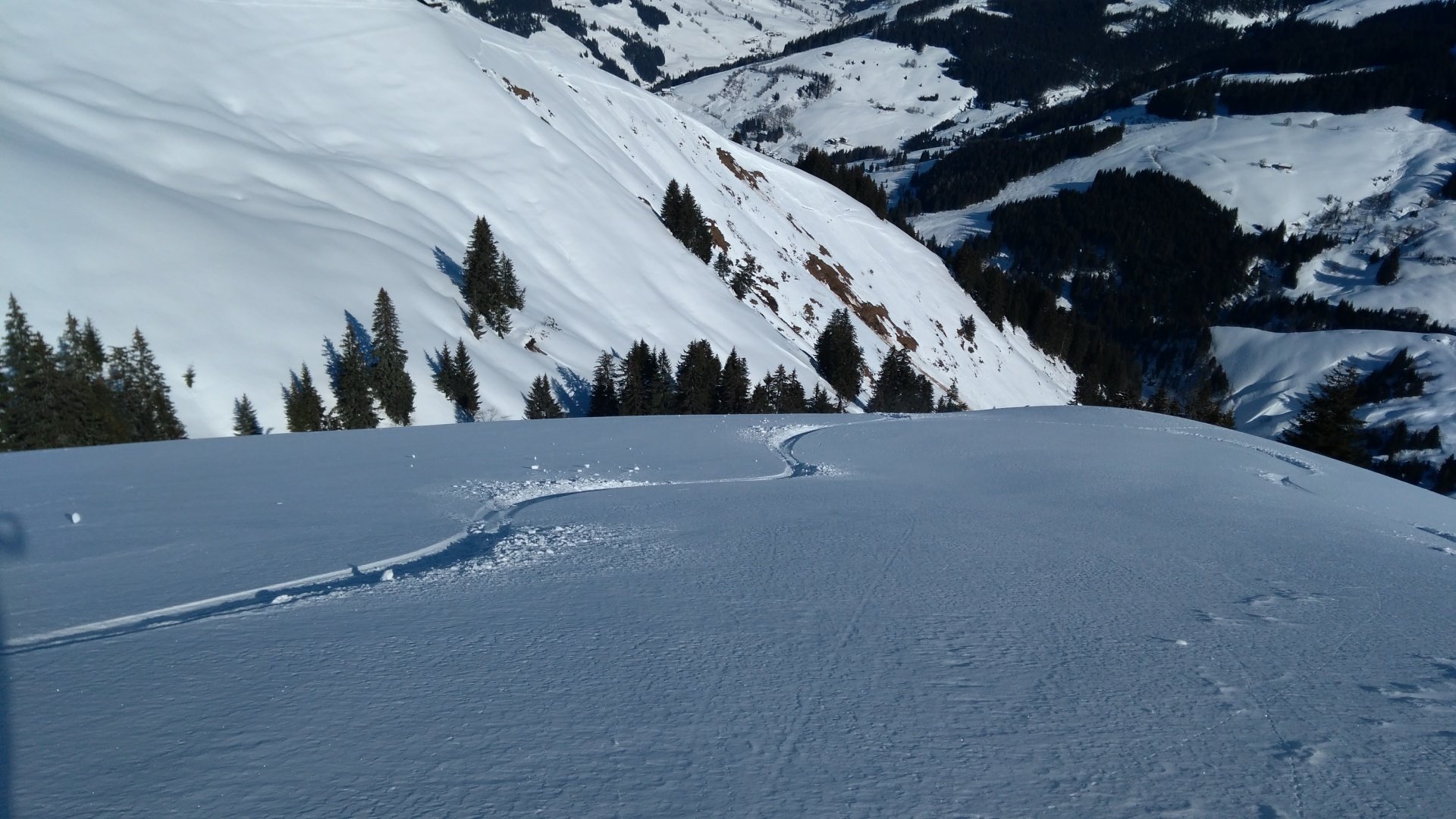 Luxury Chalet to rent in Hinterthal Austria
