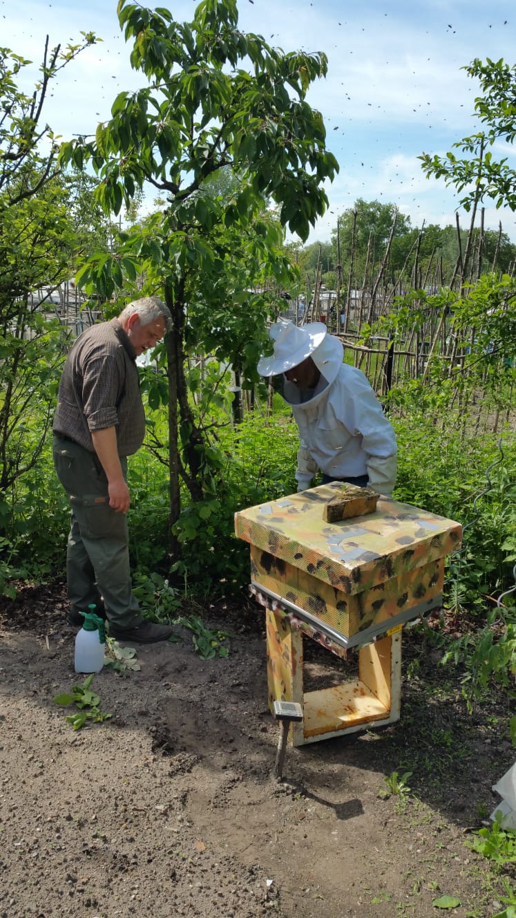 Natur-Imkerei Magers: Honig und Bienenkunde für Imker 🐝
