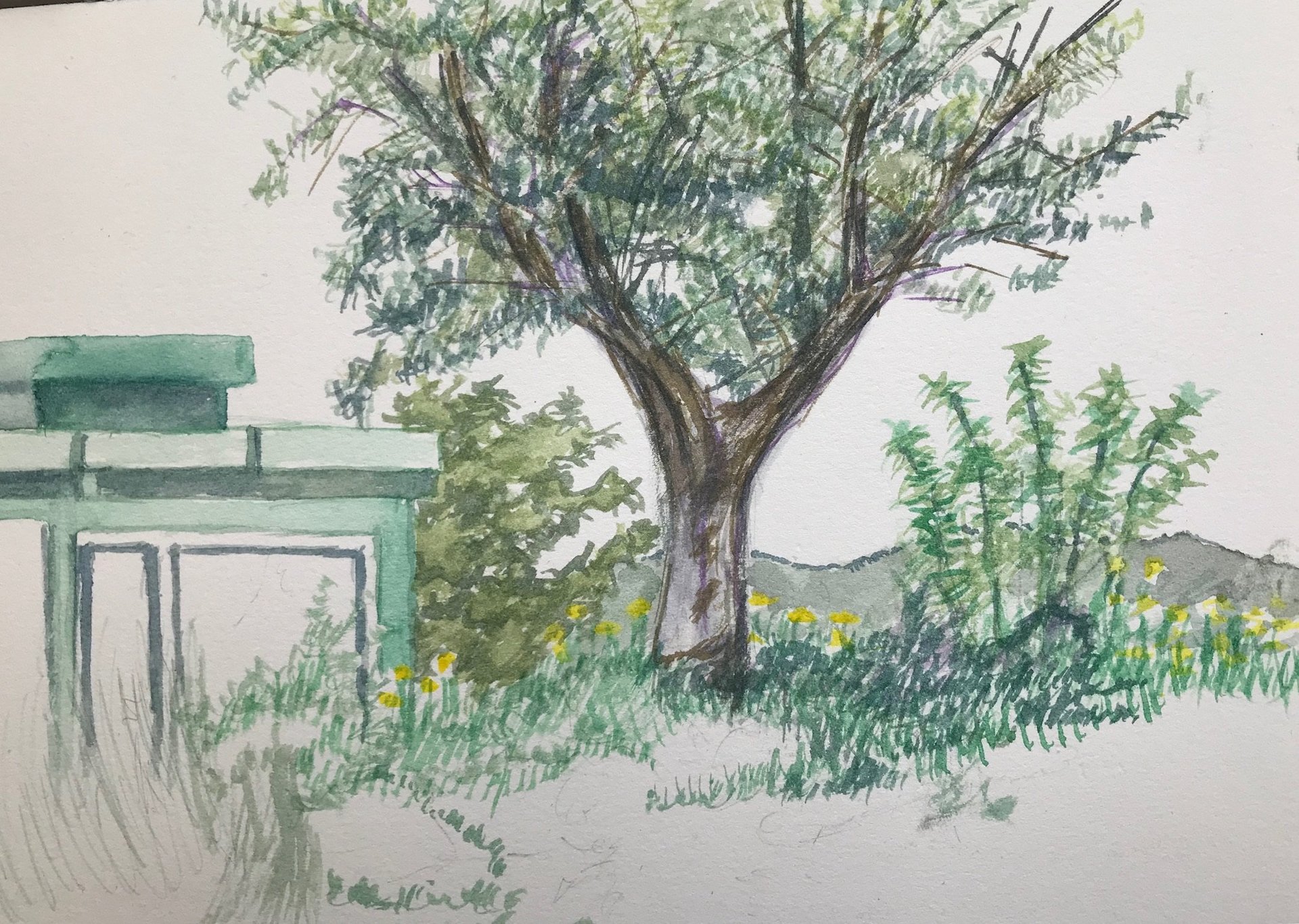 Home [www.louisebarb.com]