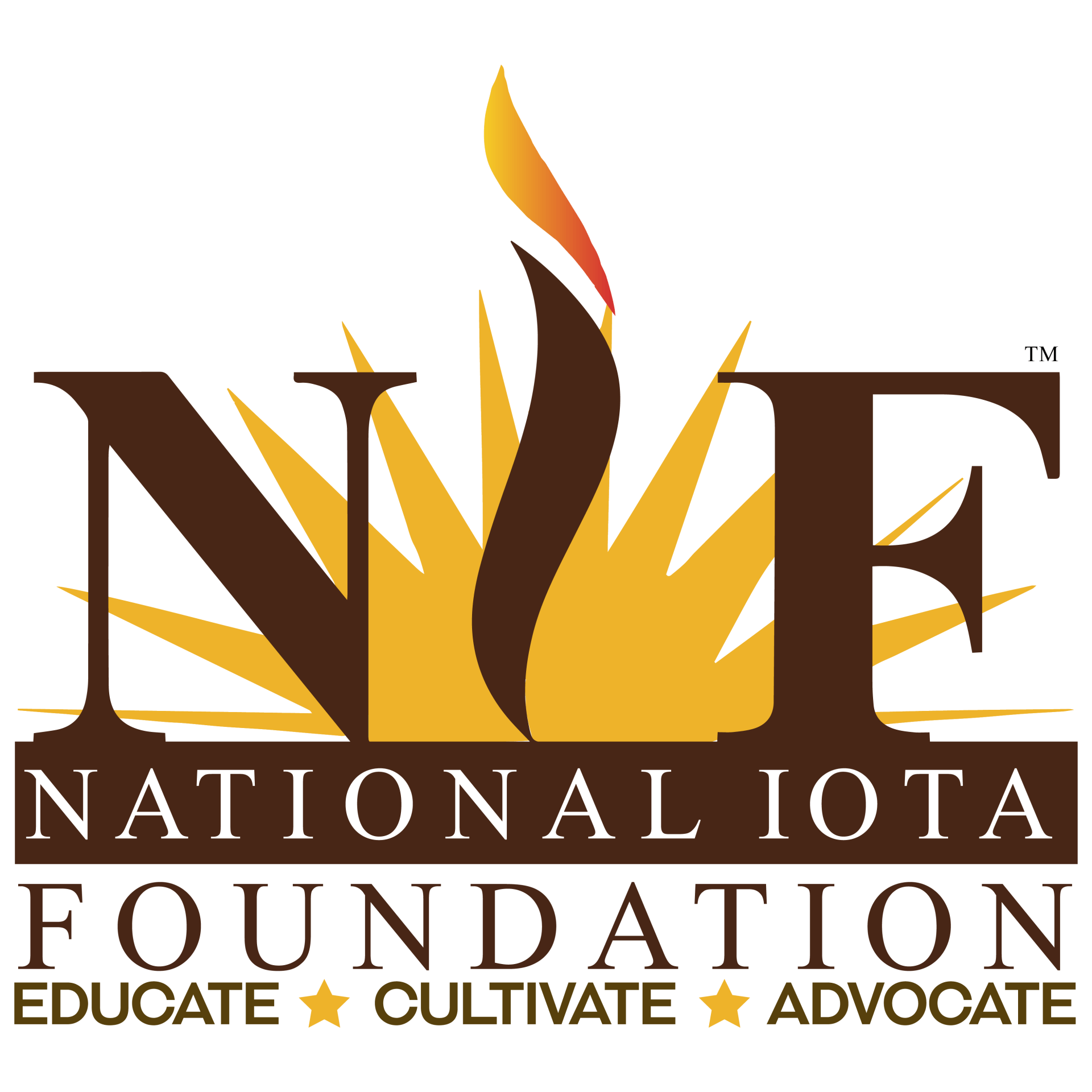 The National IOTA Foundation - Educate, Cultivate, Advocate