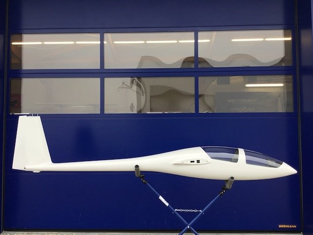 DG-1000