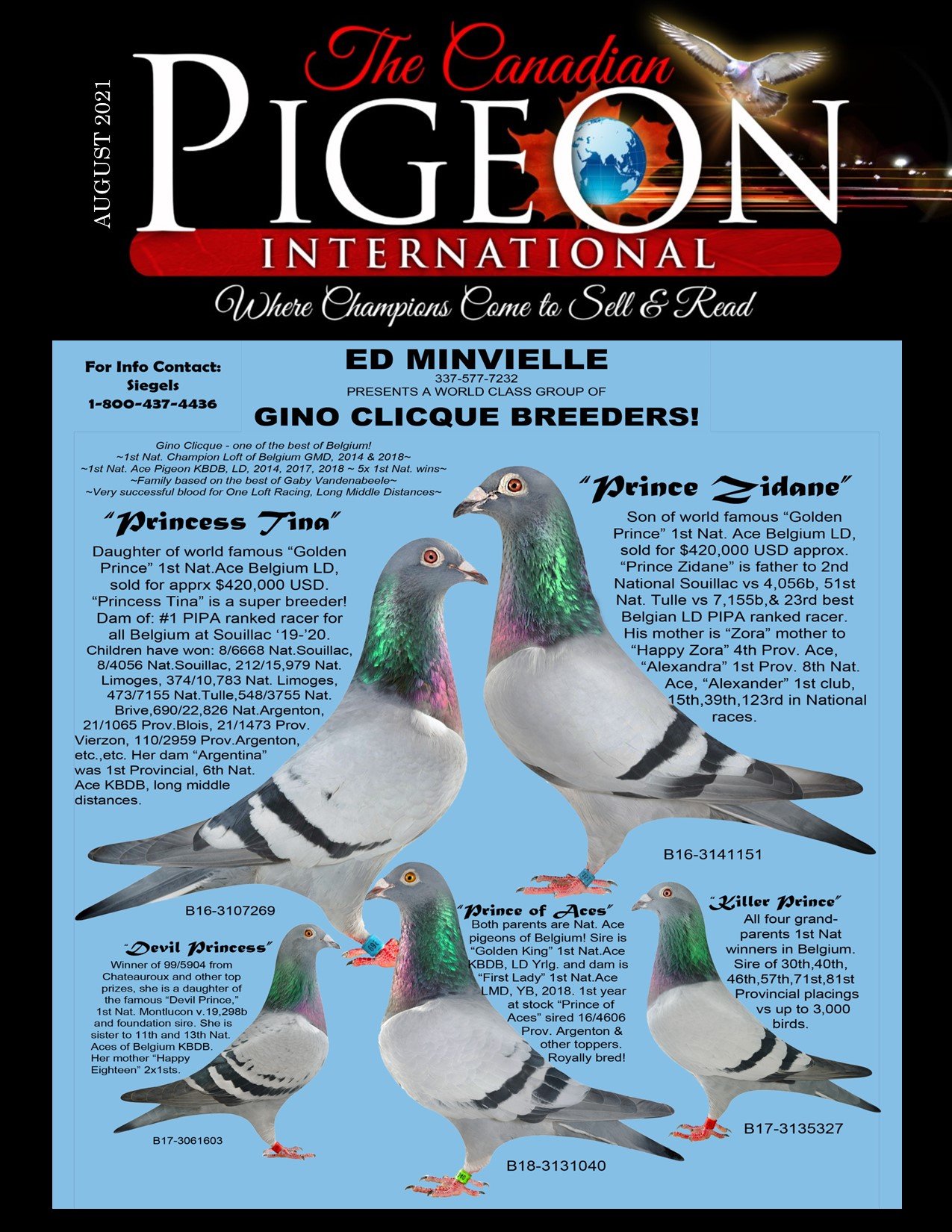 VIEW MAGAZINE ISSUES