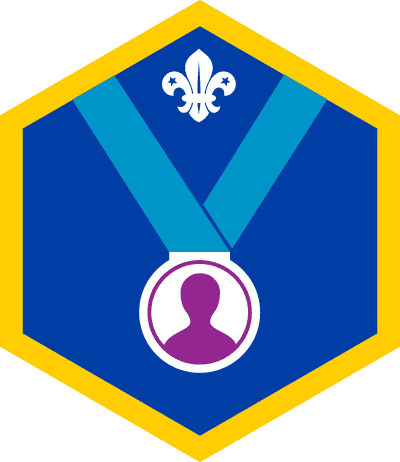 Cub challenge badges