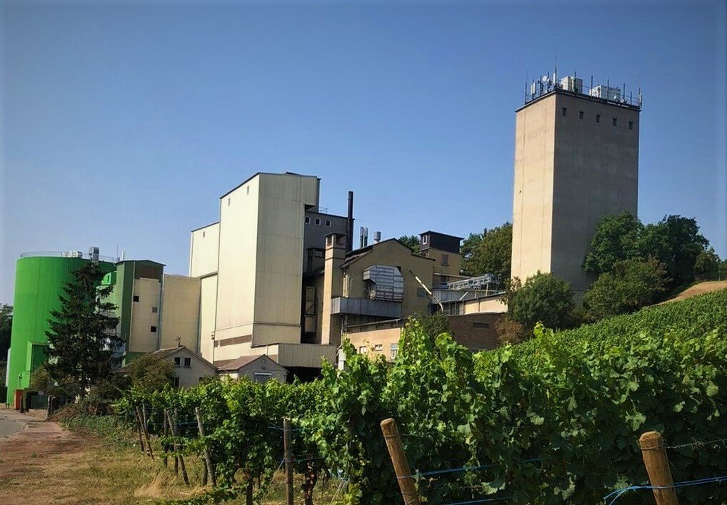 Herstellung und Vertrieb von Malz