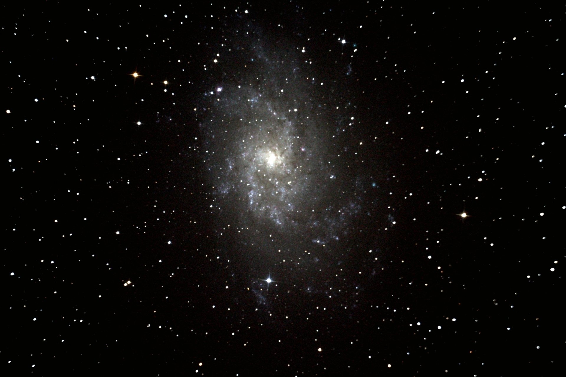 M33