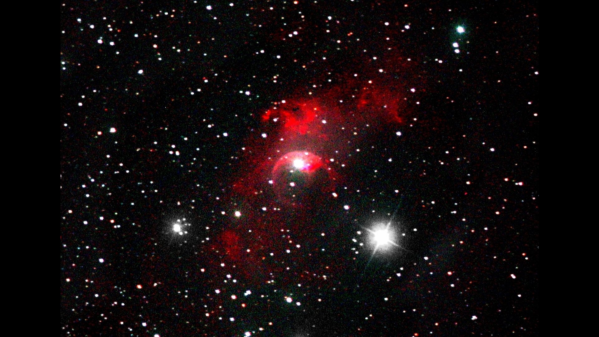C11