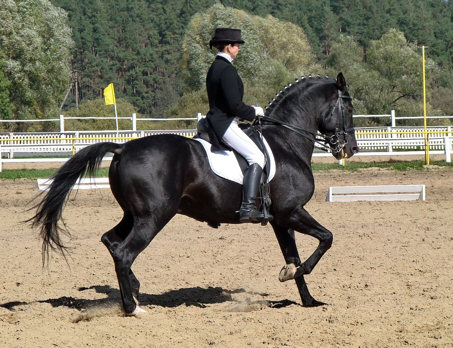 EQUILON Produkte für den Reitplatzbau, Reithalle und Offenstall